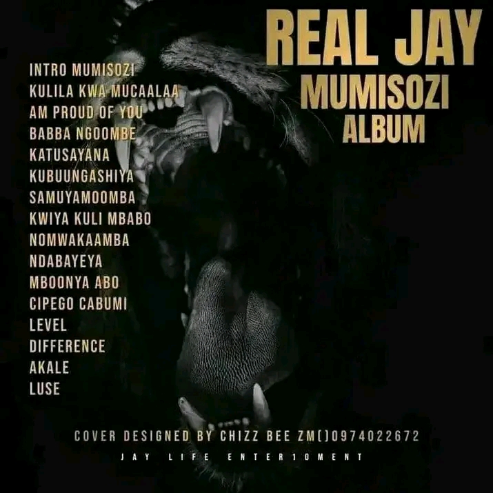Real Jay - Misozi (2024 Album) | KwazanMusicBlog